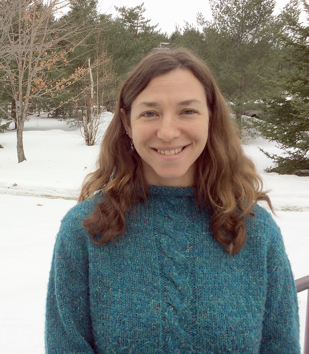 Goren heads new long-term Adirondack Vision Plan | News, Sports, Jobs ...